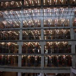 New Leadership in GLL | Department of Germanic Languages and Literatures