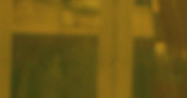 Burnett wins travel grant | Department of Germanic Languages and ...